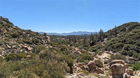 10 Best Hiking Trails In Lake Arrowhead For Novice Hikers