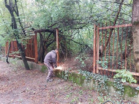 Връщат 12 дка от Борисовата градина за обществено ползване Новини