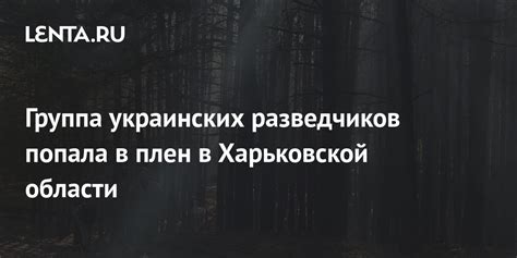 Группа украинских разведчиков попала в плен в Харьковской области Украина Бывший СССР