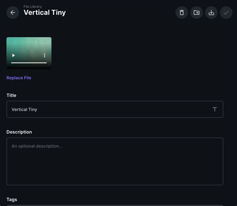 Hidden Audio Player And Styling Inconsistency · Issue 14546 · Directus