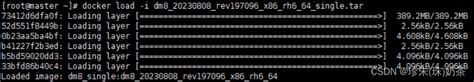 dmdb达梦数据库docker部署，并整合mybatis plus、spring boot、druid csdn博客
