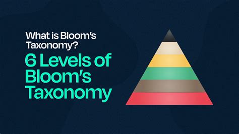 What Is Blooms Taxonomy 6 Levels Of Blooms Taxonomy Exeed College What Is Blooms Taxonomy 6 Levels Of Blooms Taxonomy Exeed College