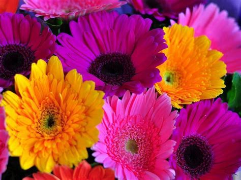 ელენე უბრალოს გვერდი Added A New Photo ელენე უბრალოს გვერდი