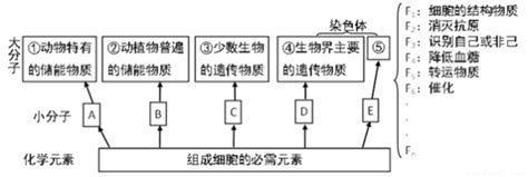 2012年诺贝尔生理学或医学奖授予两位在细胞核重编程领域有重大贡献的科学家科学家把c­myc等4个关键基因通过逆转录病毒载体转入小鼠的成纤维