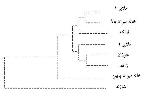 Cluster Analysis Of Molecular Data Using Upgma Method Download Scientific Diagram