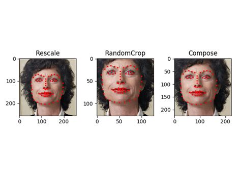 Data Loading And Processing Tutorial — Pytorch Tutorials 041 Documentation