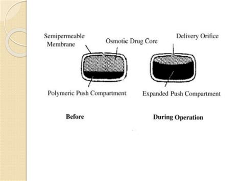 Osmotic Drug Delivery System PPTX