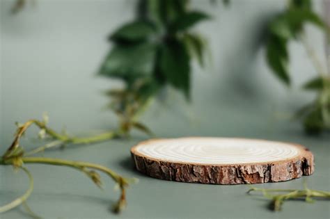 그림자와 어두운 녹색 배경에 프리젠 테이션 및 전시회를위한 자연 둥근 나무 스탠드 유기농 화장품을 위해 녹색 잎으로 3d 빈