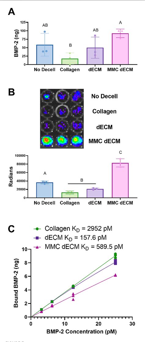 Figure 3 From Macromolecular Crowding And Decellularization Method Increase The Growth Factor