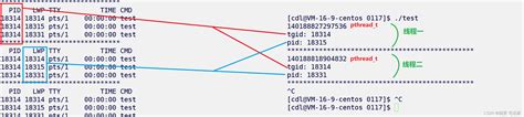 Linux——一文彻底了解进程id和线程id的关系（什么是pid、tgid、lwp、pthreadt） Csdn博客