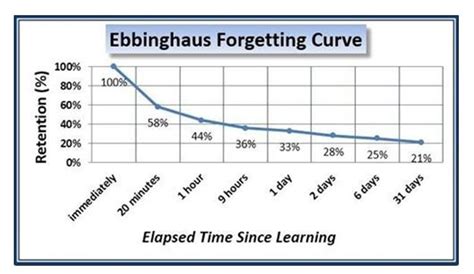 Why Learners Forget Information And How To Remember What We Learned