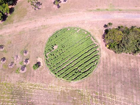 Shapes Of Knowledge Green Magazine