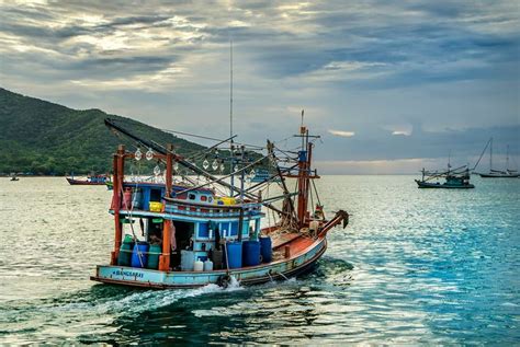 The Squid Boat Boat Beach Honeymoon Fishing Boats