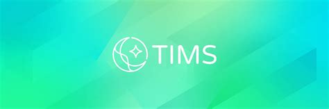 Tims Unveiled Revolutionizing Inscriptions Shaping The Future Of Blockchain By Tims Medium