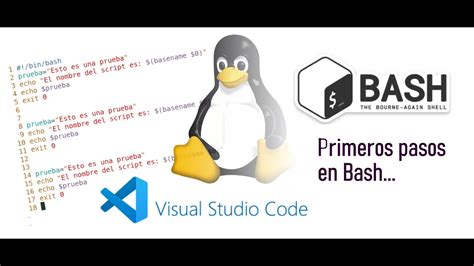 01 Bash Scripting Primer Script Y Primeros Pasos Youtube