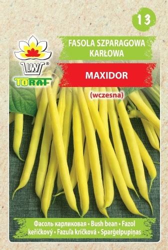 Fasola żółta Karłowa Maxidor 30g T Nas817 Nasiona Fasoli Sklep