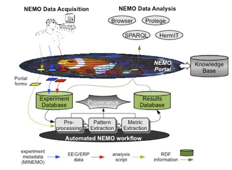 Overview Of Links Between Nemo Portal Database Ontology And Mi