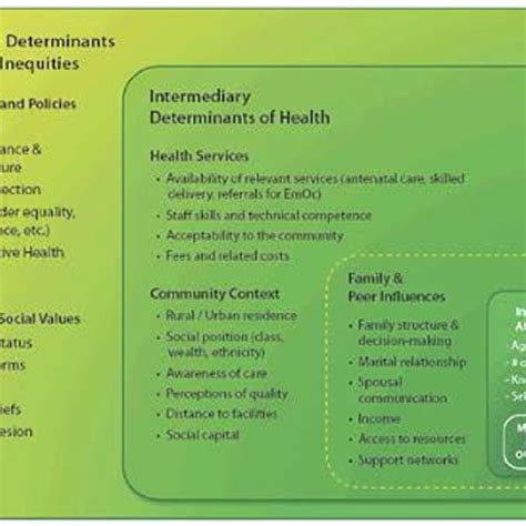 The Social Determinants Of Maternal Health Adapted From Who 2011