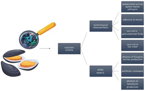 Lactic Acid Bacteria Of Marine Origin As A Tool For Successful