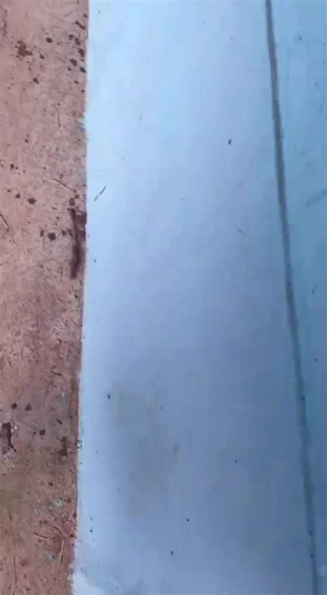 Thai Pissing 10