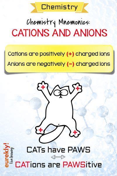 CATION VS ANION Teaching Chemistry Chemistry Chemistry Worksheets