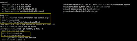 SimplyLinuxFAQ Deploy Single Node K S Cluster Using K S In Minutes