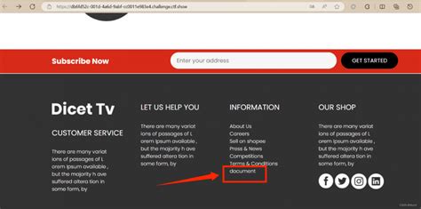 Ctfshow Web入门 信息搜集（web11 Web20） 优速盾