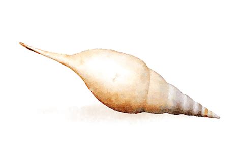 유토이미지 수채화 일러스트 소라3