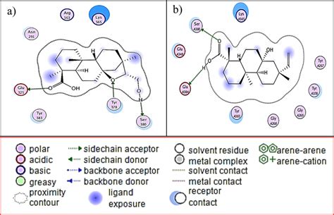 2d Binding Interaction Mode Of The Docked New Metabolite 1 And The Download Scientific Diagram