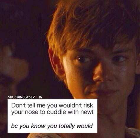 Oh I Want To Cuddle With Newt Maze Runner Series Maze Runner Trilogy Maze Runner The Scorch