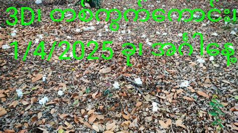 3d စိတ်ကြိုက်ဂဏန်း တစ်ကွက်ကောင်း ၊ ချဲဂဏန်း သရီဒီ ဂဏန်း 1 4 2025 ခု၊အင်္ဂါနေ့၊ ကံကောင်းကြပါစေ