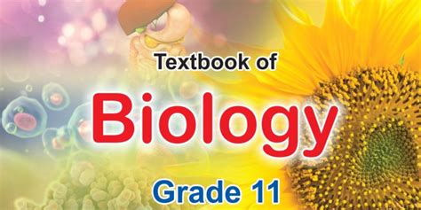 English Mcqs For Class Federal Board Kpk Textbook