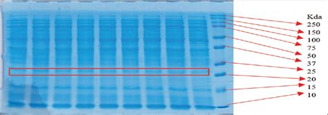 Comparison Of Simple And Rapid Extracting Methods Of Free Ta
