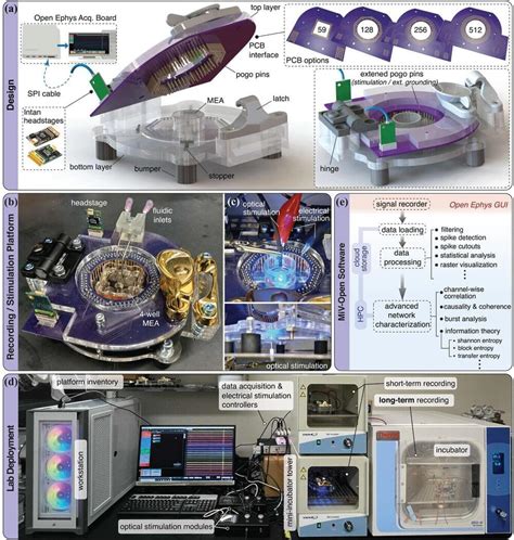 Researchers Design New Open Source Technology For Interfacing With Living Neurons Lifeboat