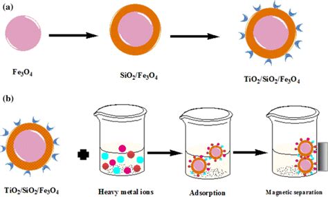 schematic diagram for a synthesis of the tio2 sio2 fe3o4 nanoparticles