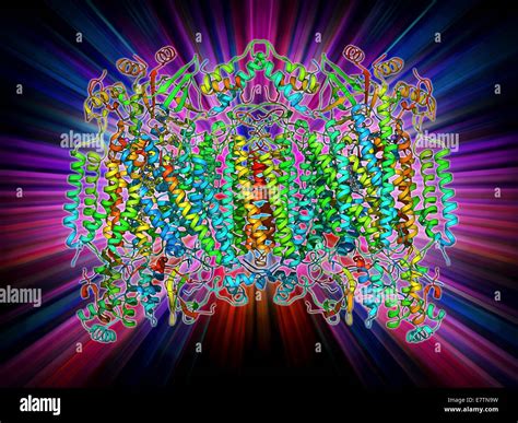 Cytochrome C Oxidase Molecular Model Of A Cytochrome C Oxidase Enzyme