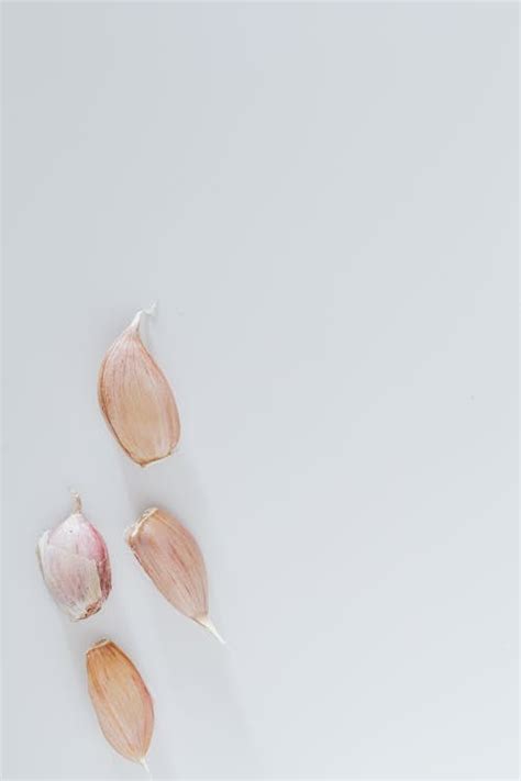 건강한 고립된 날 것 러스틱 레시피 레이아웃 마늘 마늘 머리 마늘 전구 마늘 쪽 마늘껍질 맛 맛있는 매운 머리 위로 배열 부추 속 Sativum