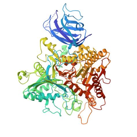 Rcsb Pdb 6kz8 Crystal Structure Of Plant Phospholipase D Alpha Complex With Phosphatidic Acid