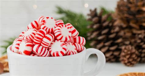 솔방울이 있는 흰색 접시에 빨간색과 흰색 설탕을 입힌 커피 한 잔과 사진 Unsplash의 빨간색과 흰색 과자 이미지