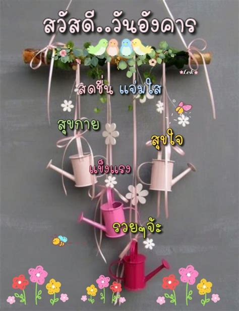 สวัสดี วัน อังคาร  ดอกไม้สีชมพู สวัสดี คำอวยพรวันเกิด