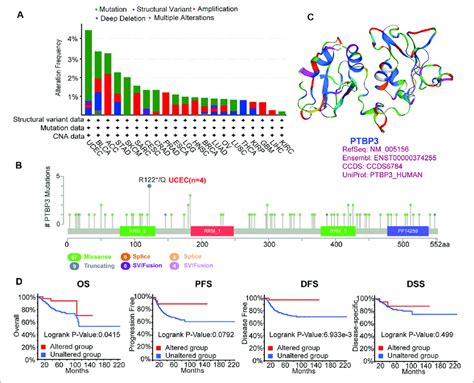 Mutation Feature Of Ptbp3 In Human Tumours Tcga Dataset The Download Scientific Diagram