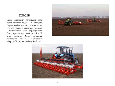 Технологія вирощування соняшника презентация онлайн