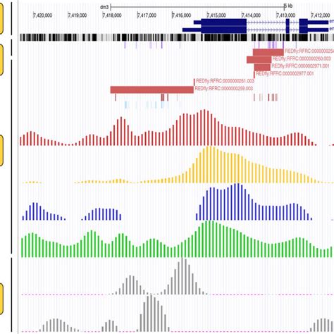 Visualization Of Cbs Information On Ucsc Genome Browser This Example