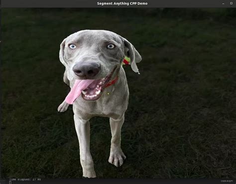 大模型——mobilesam的onnxruntime Cpp部署 Mobilesam部署 Csdn博客