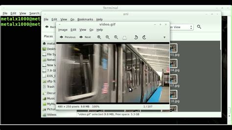 still image sequence to imagemagick bash linux youtube