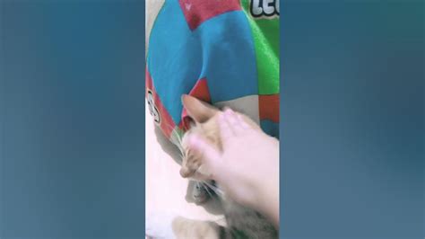 Oooo So Cute Youtube