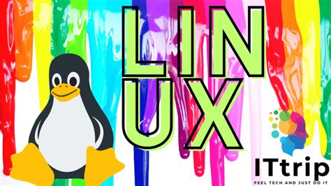 Mastering Special File Permissions In Linux Setuid Setgid And Sticky Bit Explained It Trip