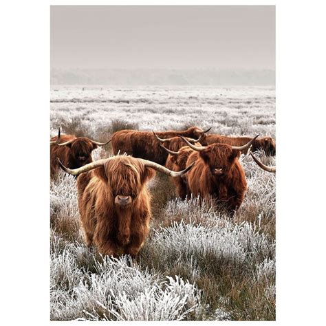 Framed Gathering Of Highland Cows Embellished Canvas 24x36 Highland