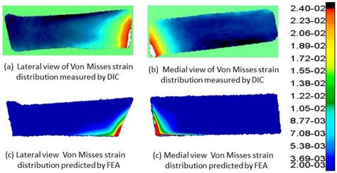 Illustration Of Von Mises Strain Distribution Obtained From Dic And Download Scientific Diagram