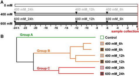 Samples Collection And Hierarchical Cluster Dendrogram Of All The